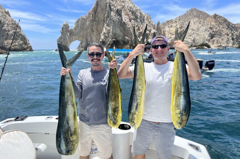 5 BEST Cabo Fishing Charters: Calendar & Prices [2026]