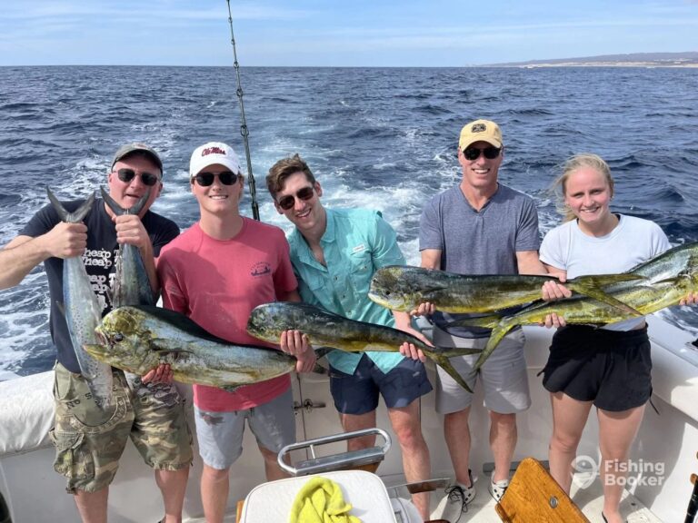 5 BEST Cabo Fishing Charters: Calendar & Prices [2026]
