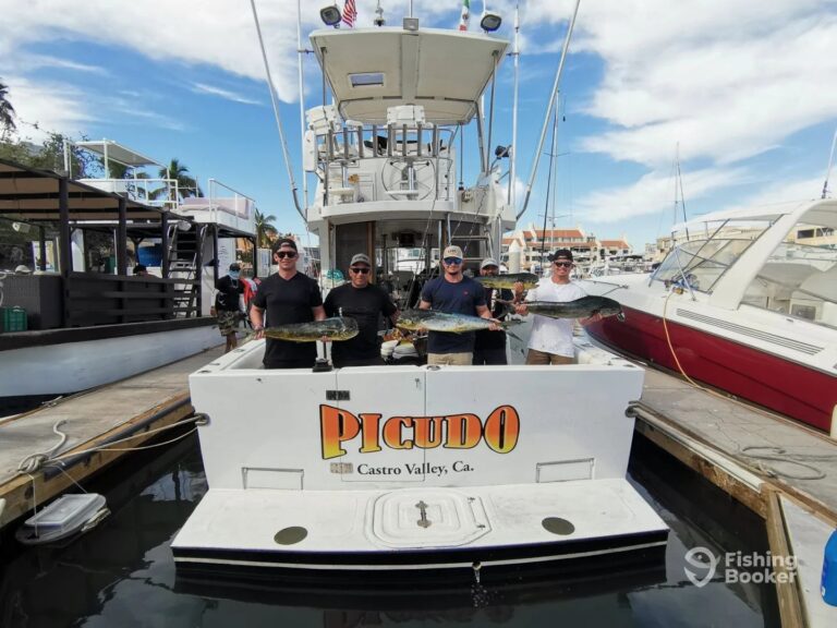 5 BEST Cabo Fishing Charters: Calendar & Prices [2026]