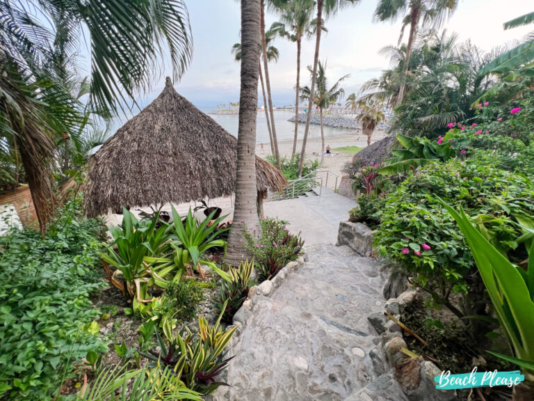 B Nayar Beach Club: Prices, Promotions, Menu & More [2025]